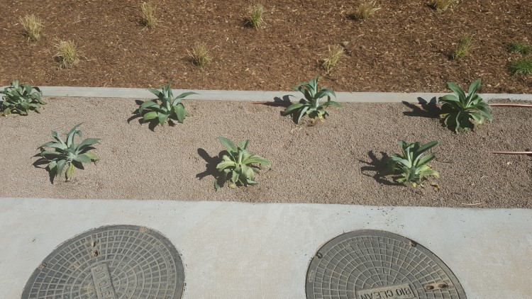 Streamlining the Stormwater Permitting and Application Process ...
